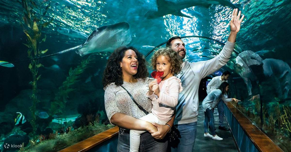 Loro Parque ticket - Klook India
