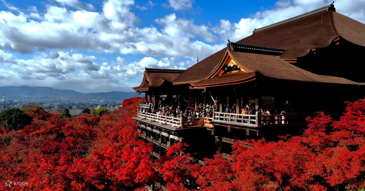 Visite d'une journée complète des sites UNESCO de Nagoya Senbon Torii ...
