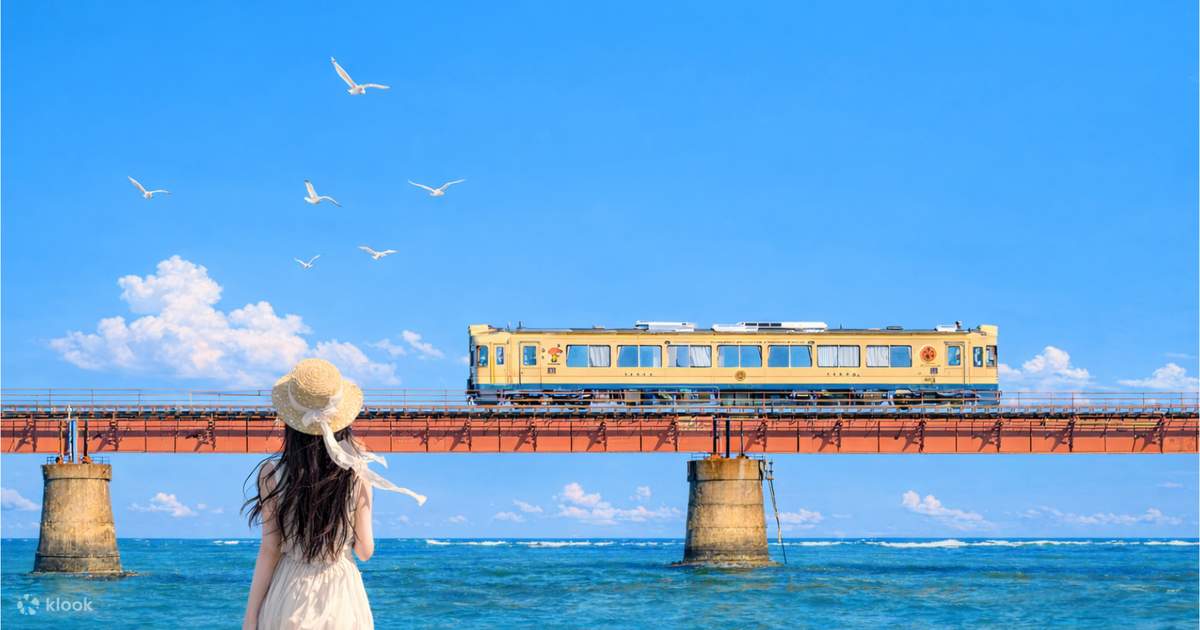 Kyoto: Tango Railway Sea Train & Amanohashidate & Ine Boathouse Cruise ...
