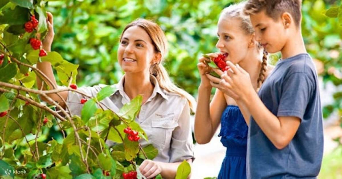 Tropical Fruit World and Point Danger One Day Tour - Klook United States