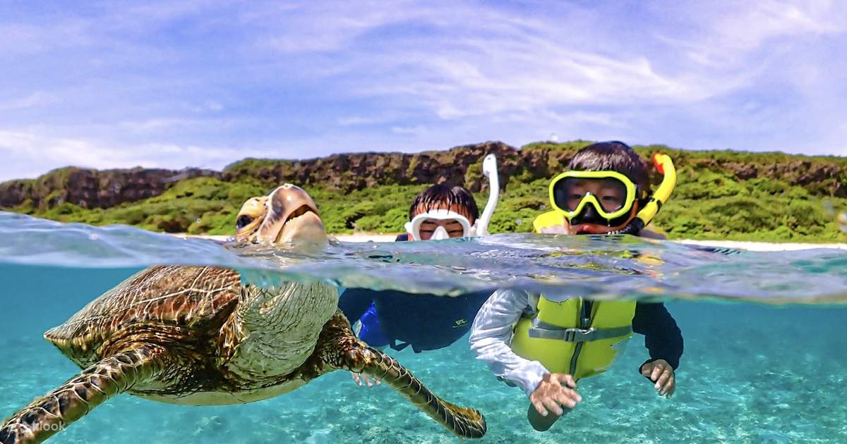 Miyako Island | Outstanding transparency! Snorkeling with sea turtles ...