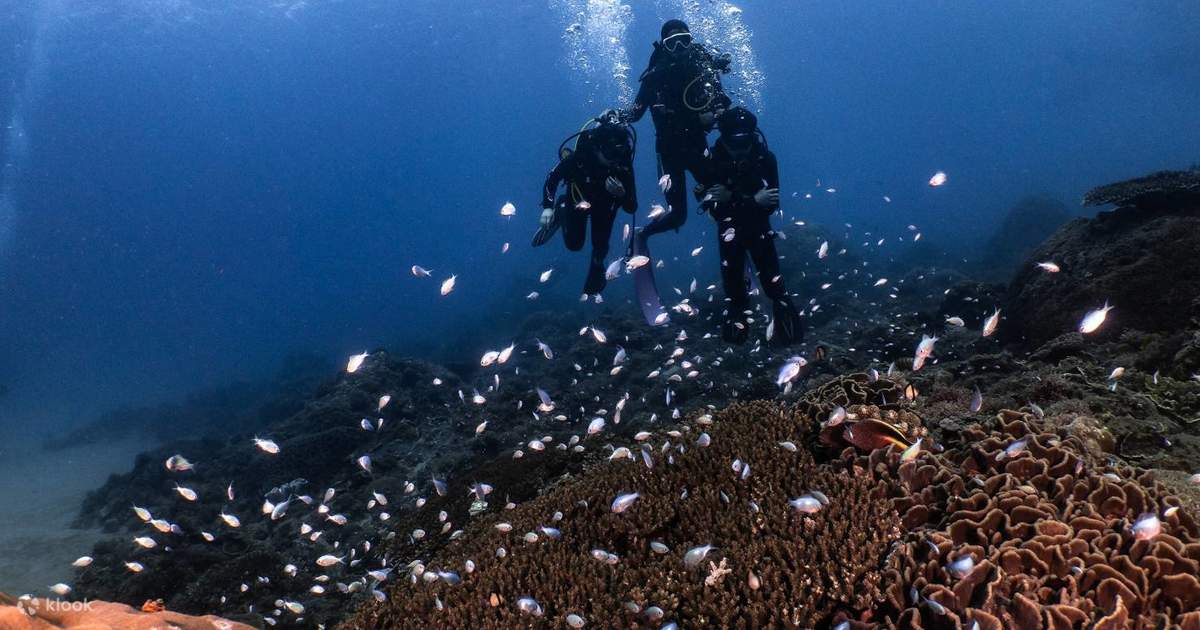 Kenting Blue Cave Diving Experience, PADI OW Open Water Diver ...