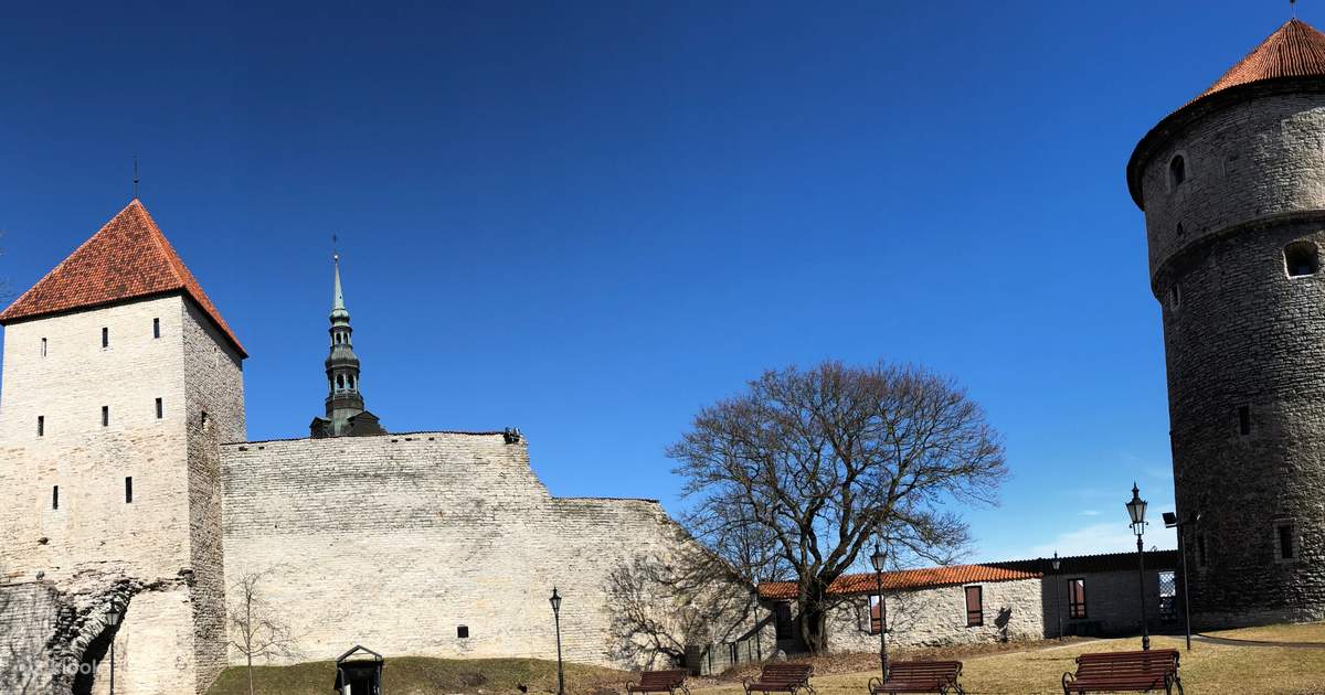 Tour guidato di un giorno a Tallinn da Helsinki con traversata in ...