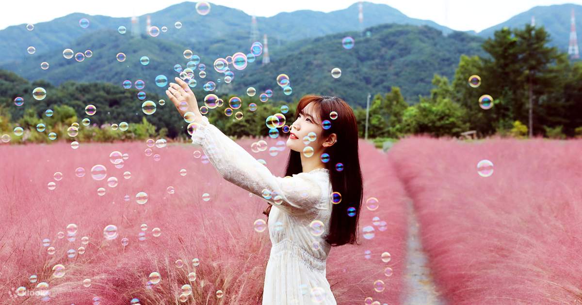 Pocheon Highlights Day Trip - Klook Singapore