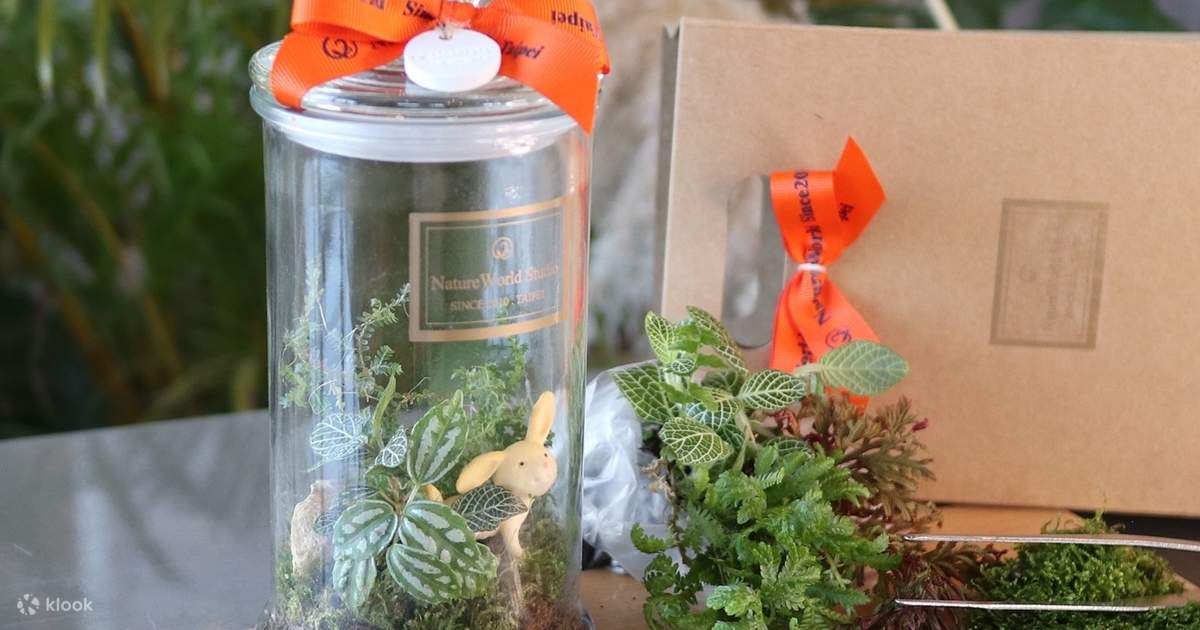 Pingtung: DIY Handmade Experience - Plant Terrarium & Sustainable Cycle ...