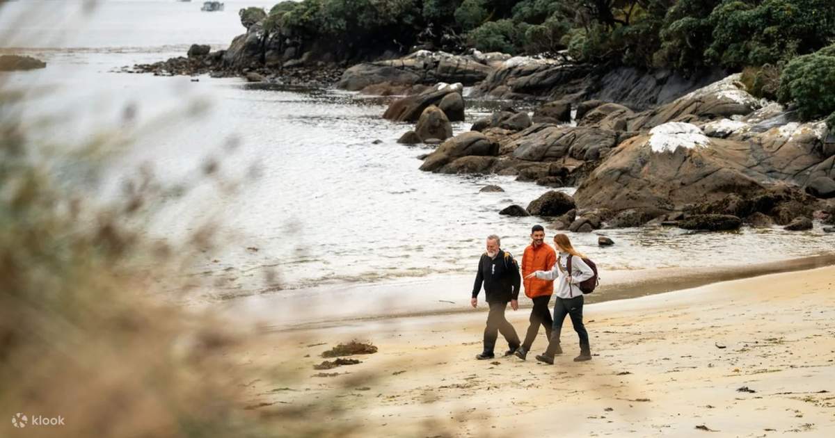 Excursión a pie por la naturaleza salvaje de la Isla Stewart - Klook España