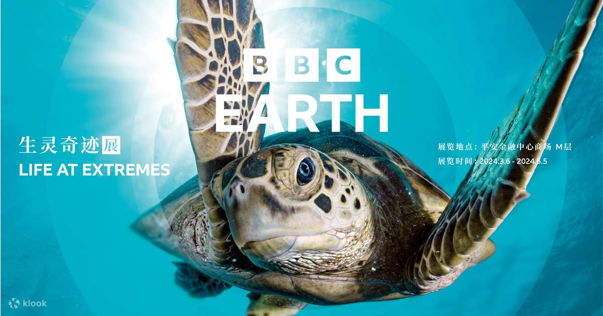 ocean life bbc
