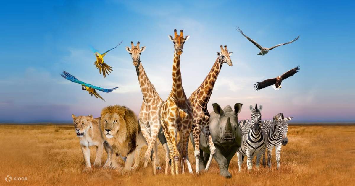 Safari World Bangkok Ticket - Klook