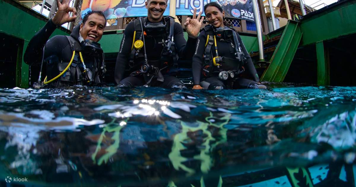 Explore Deeper Depths with Advanced Open Water Diver in Bali - PADI 5 ...