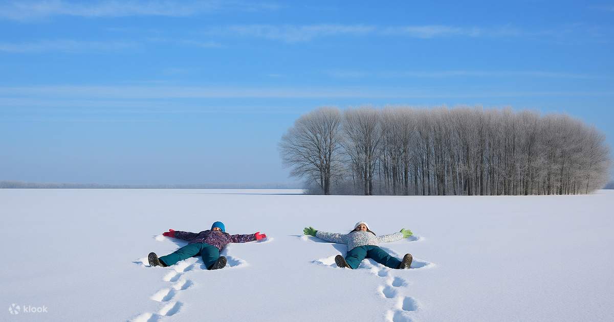 Private chartered snowfield with lunch, snow activity experience ...