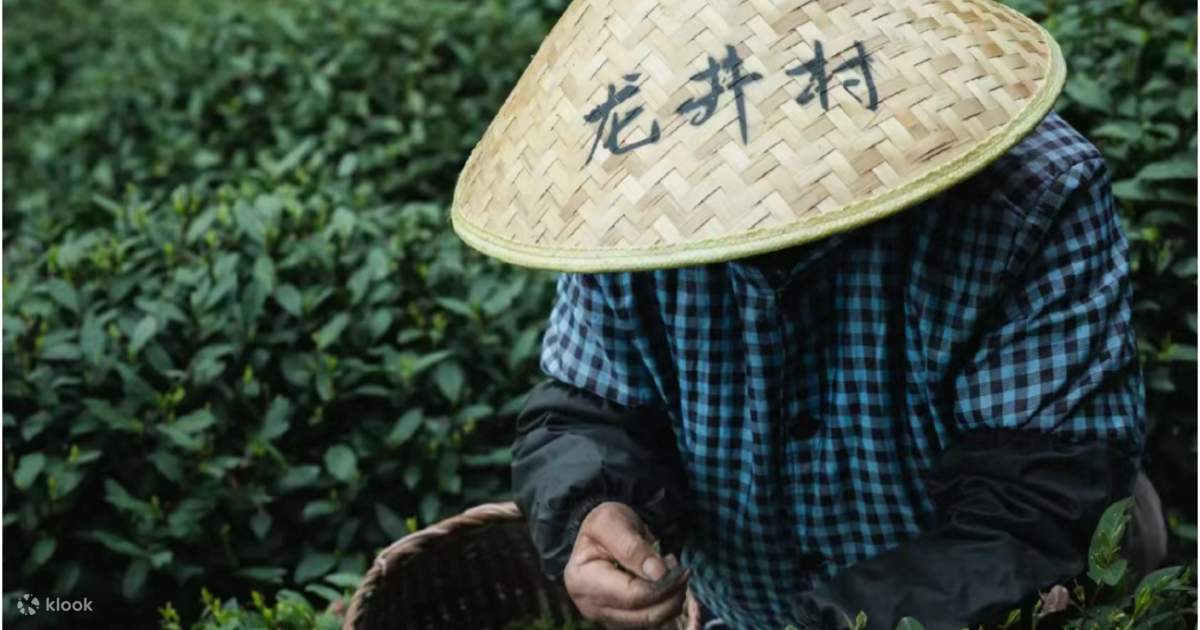 Hangzhou West Lake Longjing Tea Cultural Immersion: Tea Picking + Tea ...