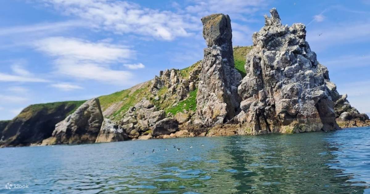 Ireland's Eye and Howth Coast boat tour from Dublin - Klook United States