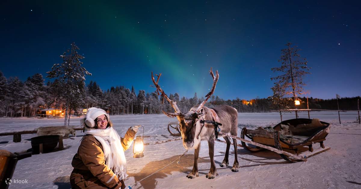 Ranua Lupland Aurora Activity Park – After Dark Adventure - Klook ...
