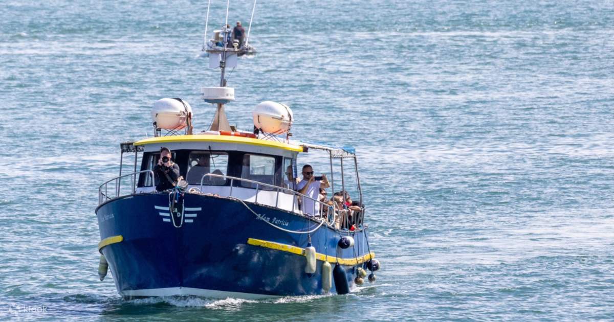Howth Cliffs and Baily Lighthouse boat tour in Dublin - Klook