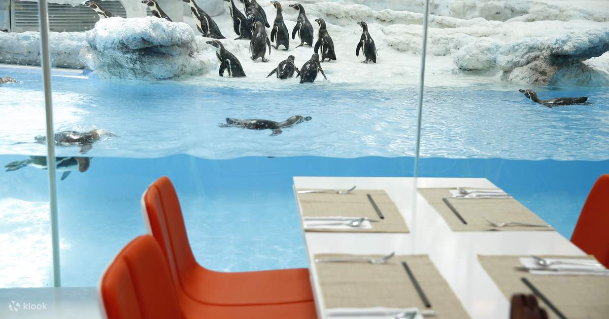 Zhuhai Chimelong Penguin Hotel Buffet - Klook Estados Unidos