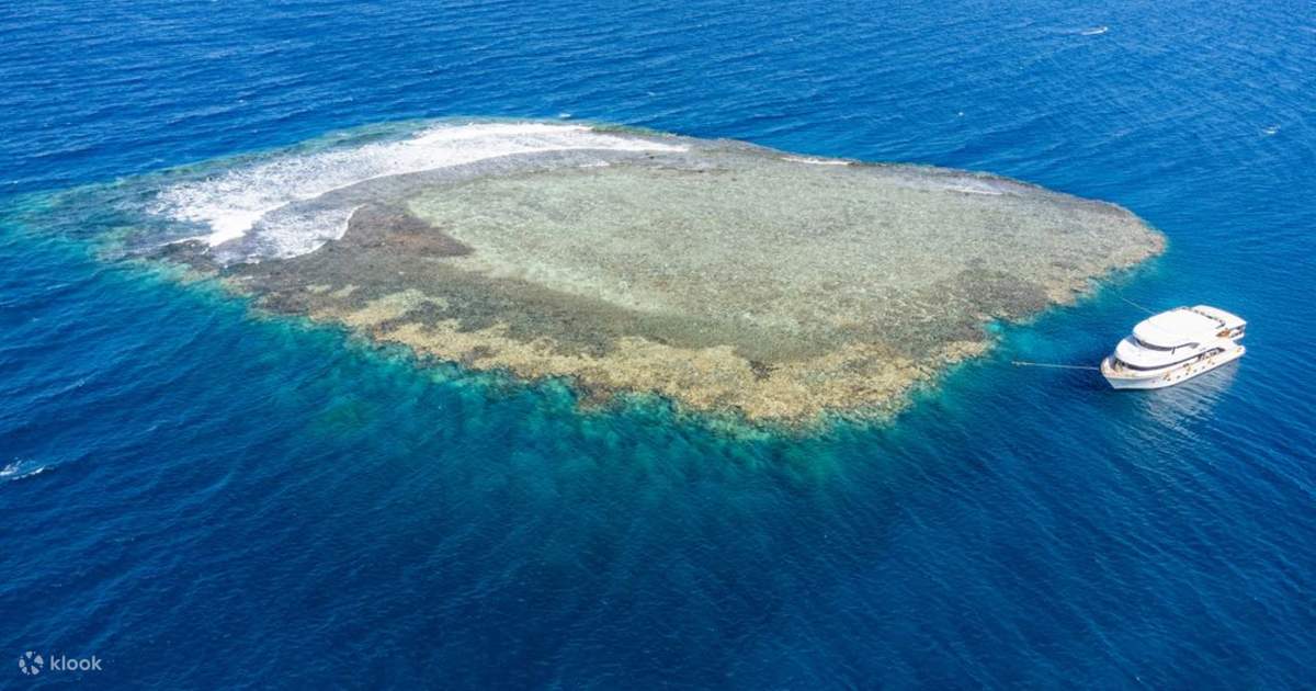 Coral Garden Snorkeling Trip & intro dive With Transfer - Marsa Alam ...