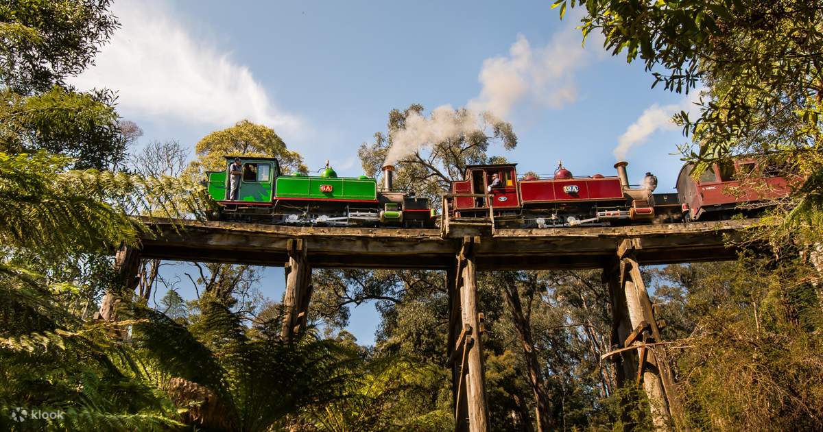 Chuyến tham quan Puffing Billy, Đảo Phillip và Bãi biển Brighton kèm ...