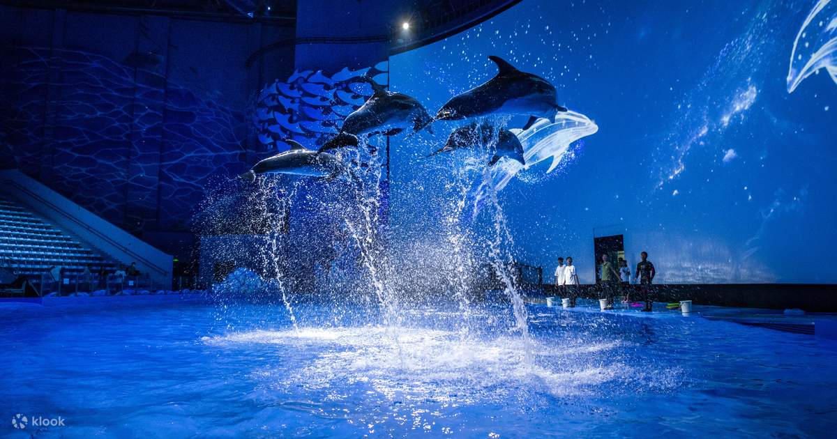 Sunac Sea World Chongqing Ticket - Klook Malaysia