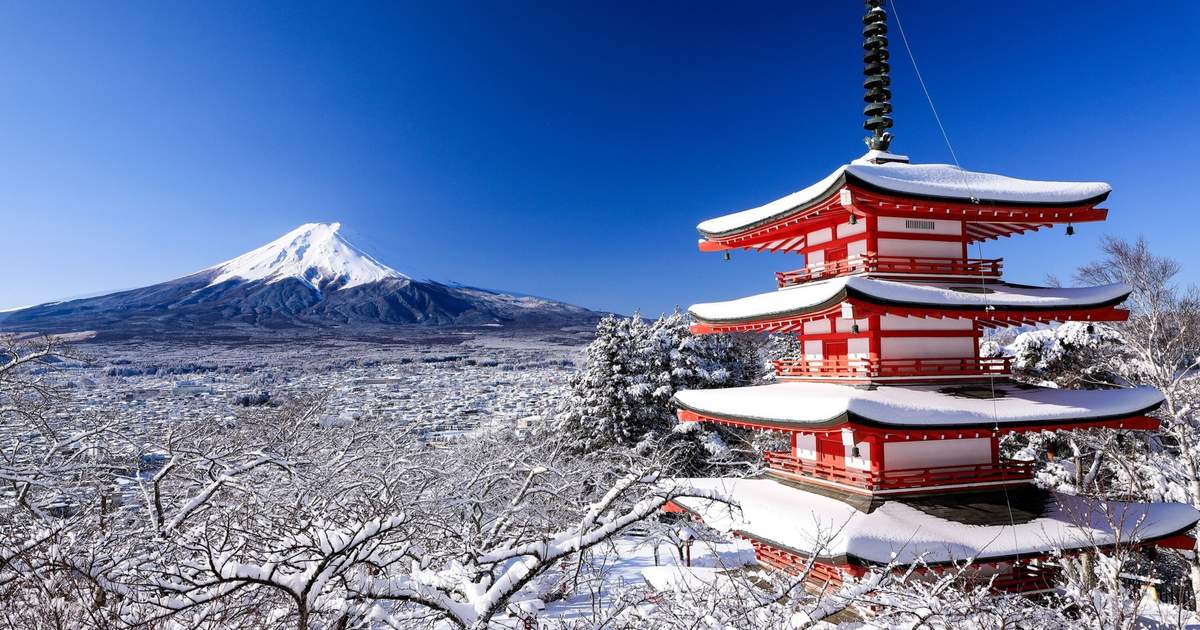 Excursion privée au mont Fuji (5e station), au lac Kawaguchi et à la ...