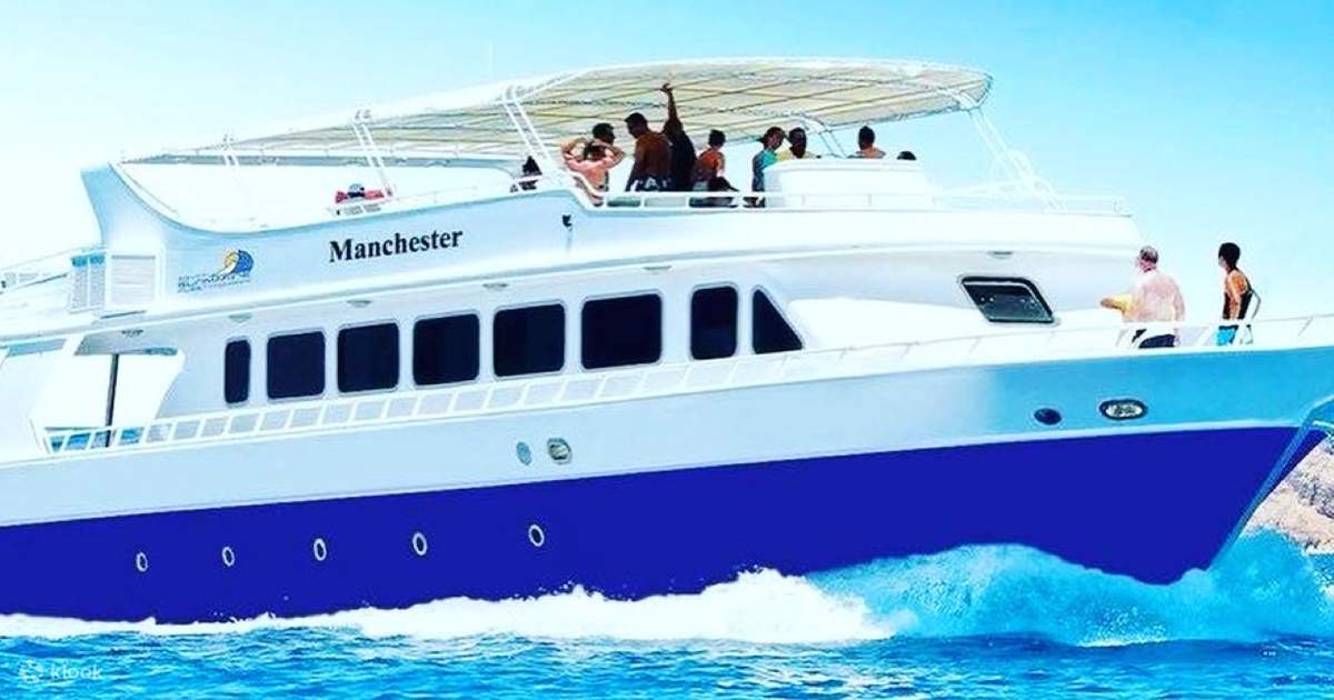 Dolphin House Reef Snorkeling Adventure & Transfers – Marsa Alam ...