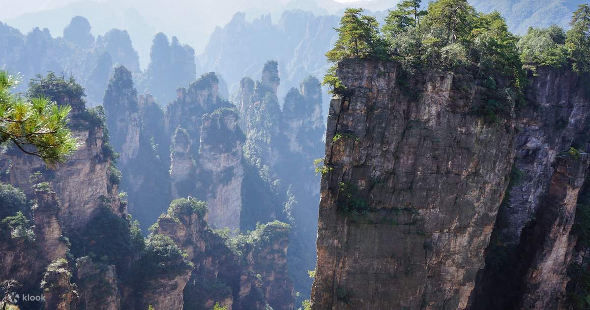 Tour nhóm 14 ngày khám phá gấu trúc khổng lồ & núi Avatar Trương Gia ...