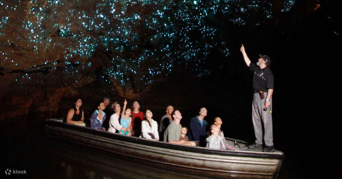 Waitomo Caves & Te Puia Rotorua with Picnic Lunch Full Day Tour - Klook ...