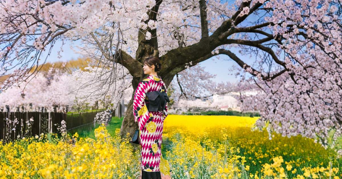 Kanazawa Kimono Street-Walking Plan [Kanazawa Kimono Karen] - Klook ...