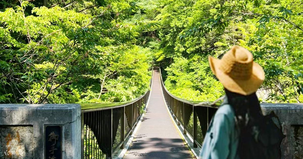 Tenkawa Village, Tenkawa Shrine & Limestone Cave Train Day Trip (From ...