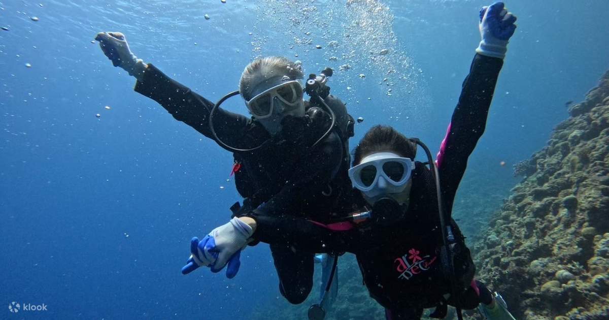 Blue Cave Diving & Snorkeling Experience (Okinawa) - Klook United States