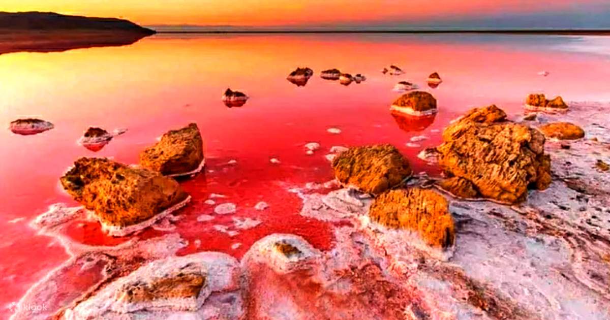 Candy Cane Mountains & Masazir Pink Lake Half-Day Tour - Klook New Zealand