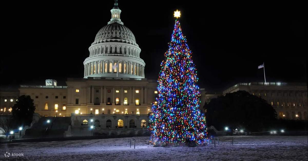 Washington DC Holiday Lights Tour - Klook United Kingdom