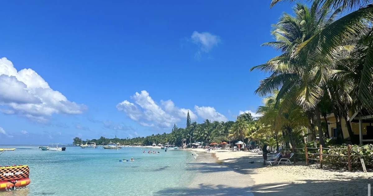 West Bay Beach & Explore Roatan Excursions Half-day City & Beach Tour ...