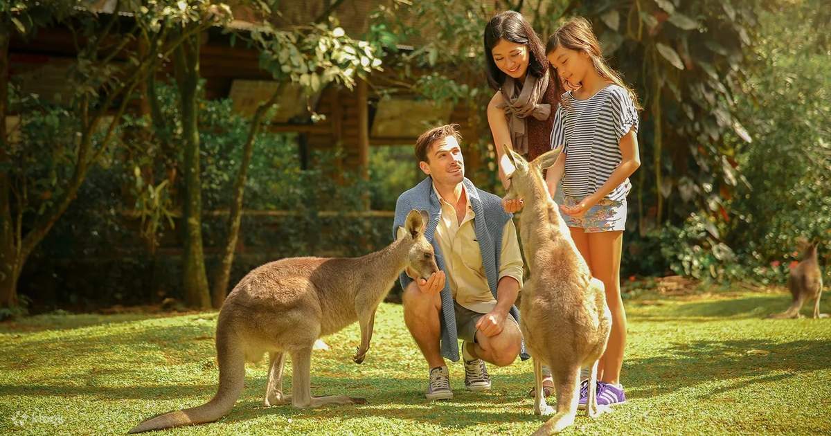 Taman Safari Indonesia Bogor Ticket - Klook