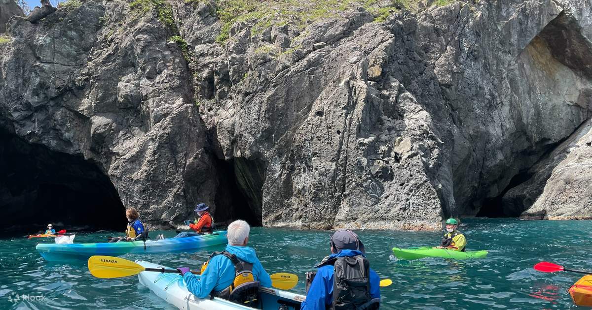 Online reservation for the San'in Kaigan Geopark kayaking experience ...