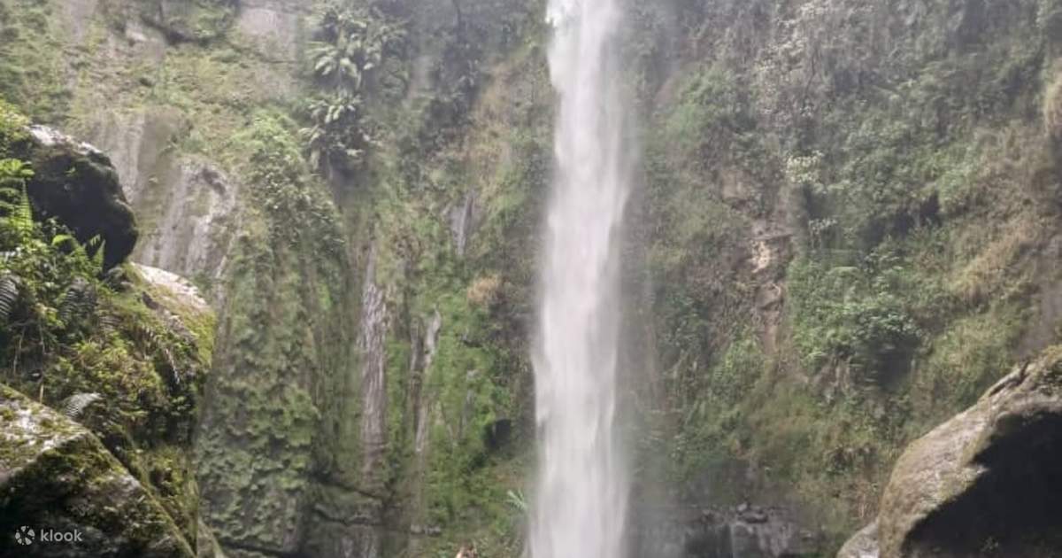 Napuru Waterfalls & Coffee Farm Day Tour - Klook United States