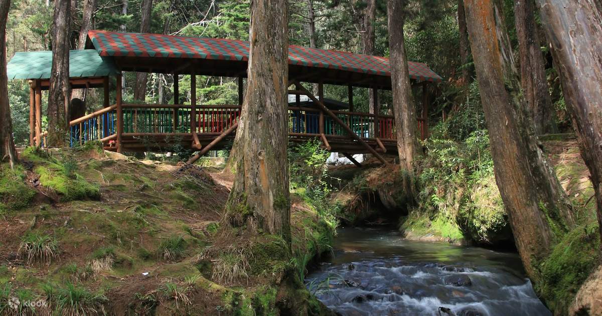 Arvi Park Hiking Tour in Medellin - Klook United Kingdom