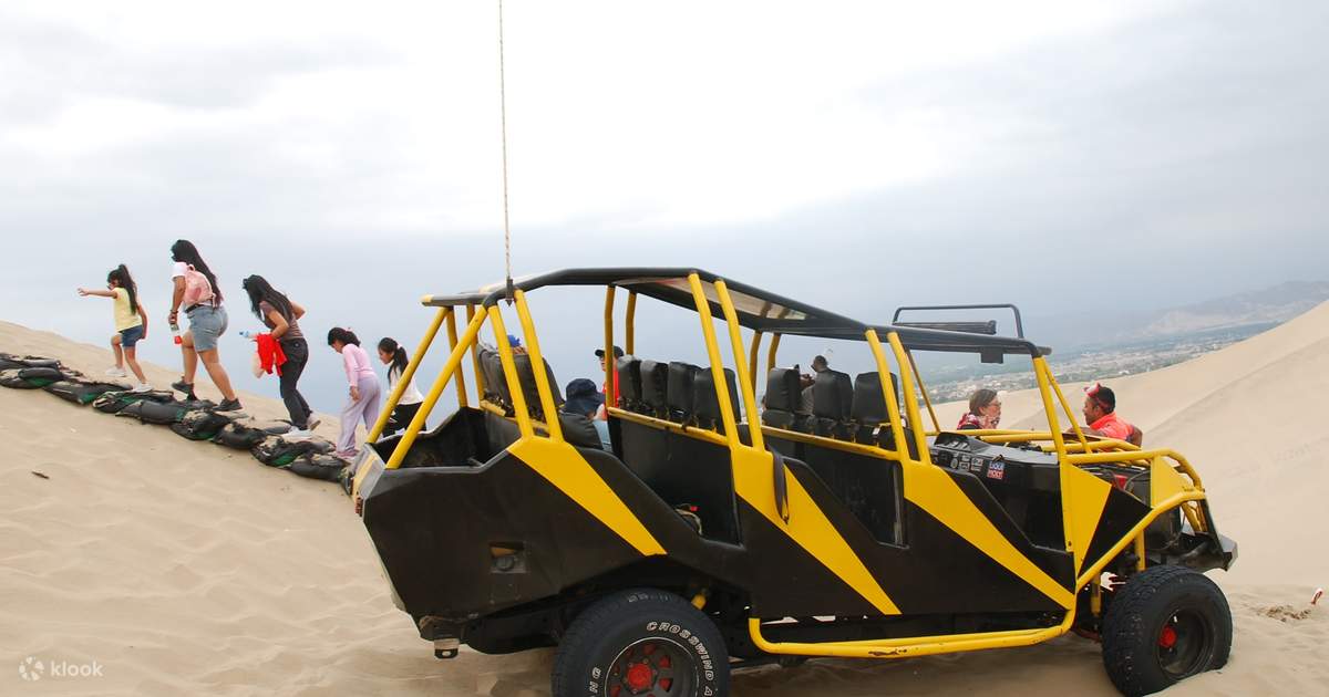 Paracas Islas Ballestas Full-Day Small Group Marine Life Exploration ...
