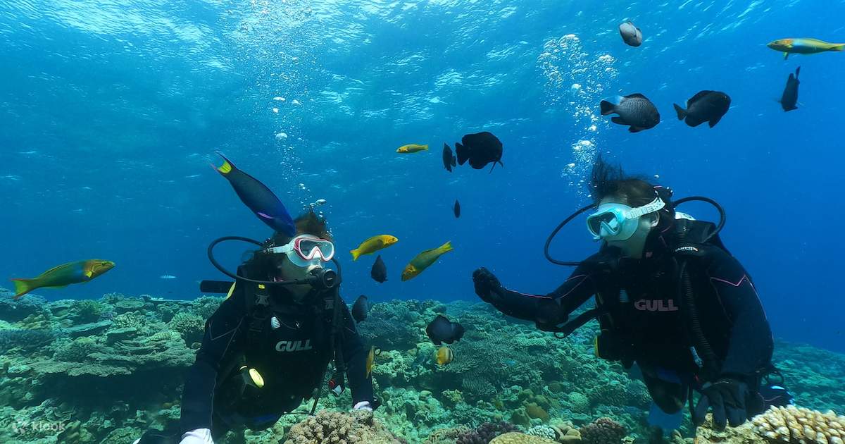Okinawa: Discover SCUBA Diving at Minna, Sesoko or Motobu - Klook Australia