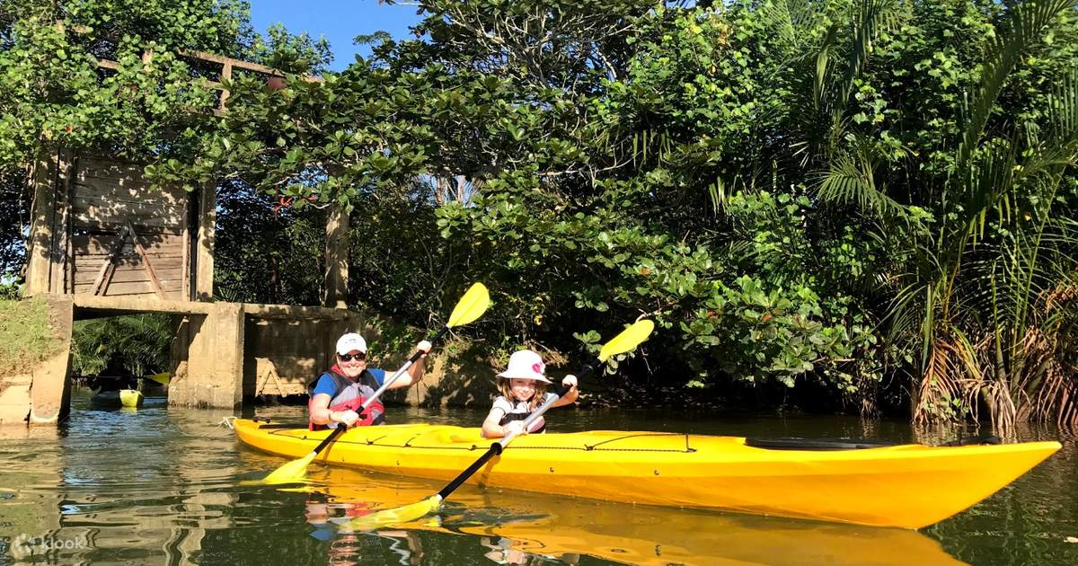 Coco Palm Forest to a Craft Village Tour with Kayaking Experience in ...