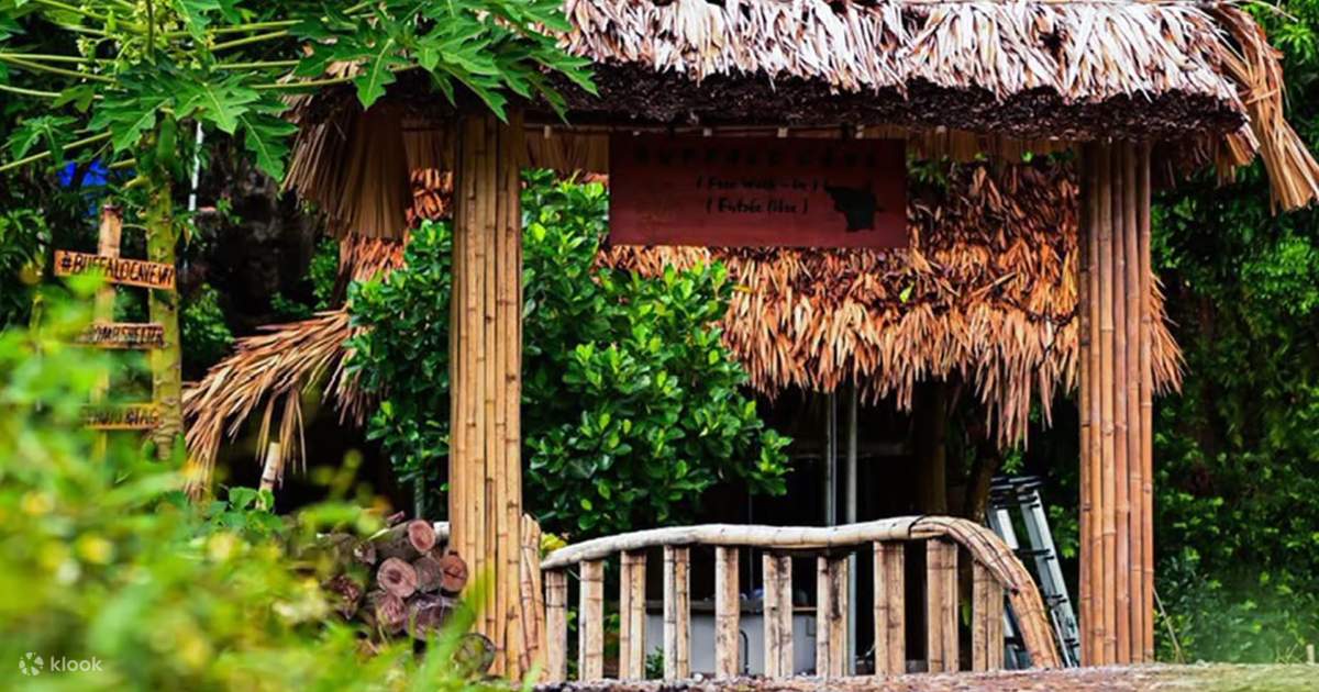 Ninh Binh: Tam Coc Museum, Rice Farming, Buffalo Ride & Cooking Class ...