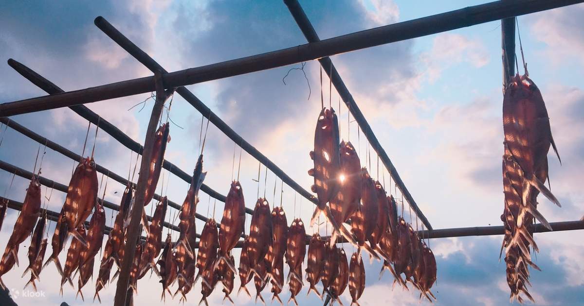 Lanyu Night Flying Fishing Experience - Klook United States