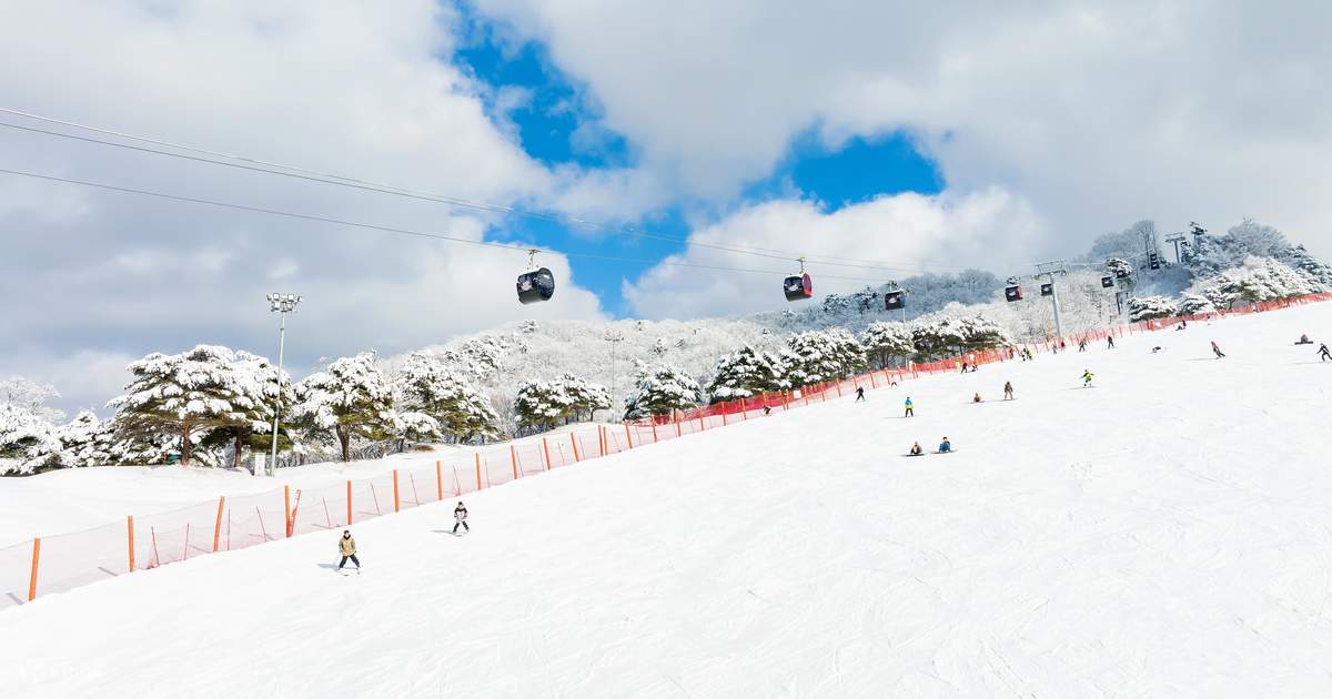 Nami Island Winter Highlights: Vivaldi Ski Resort Day Tour - Klook