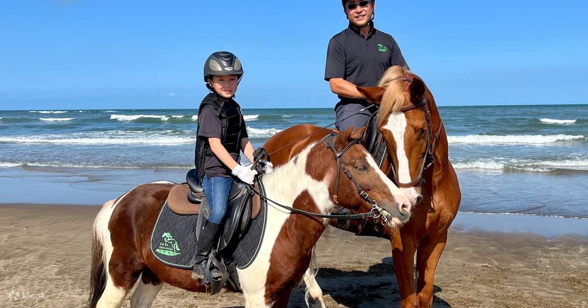 Introductory Horseback Riding Experience in Tamsui - Klook Canada