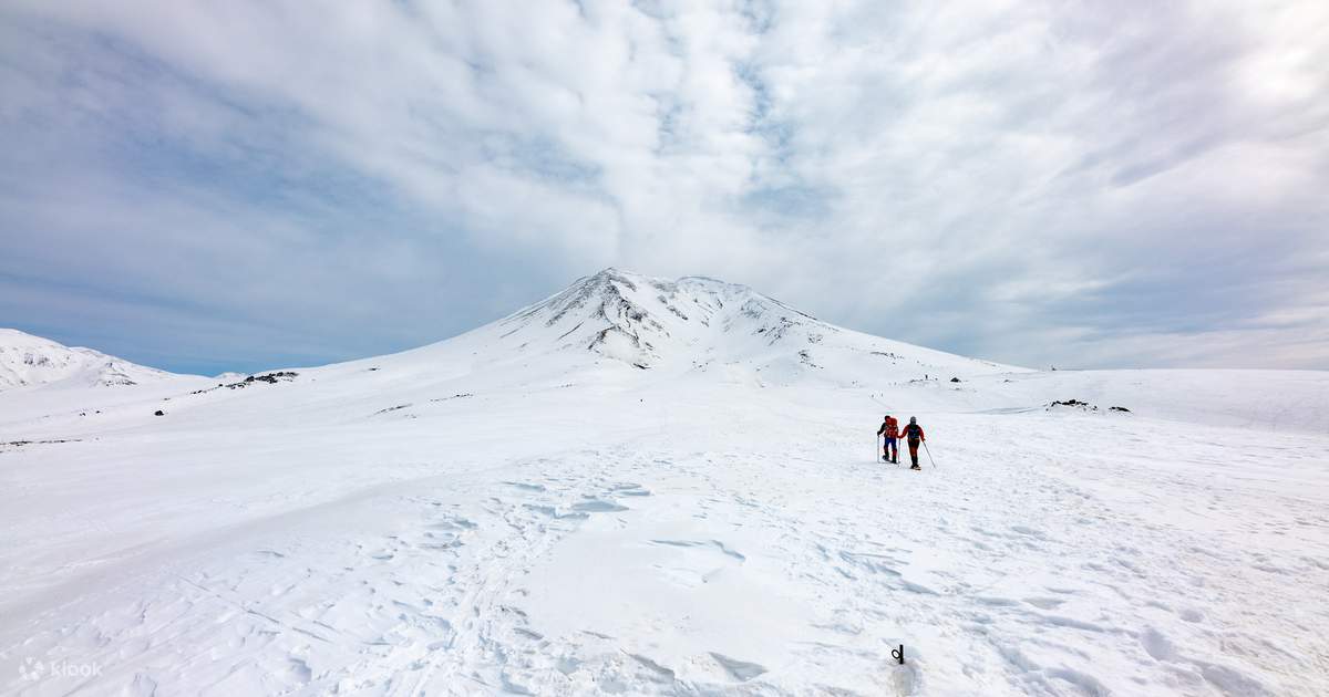 Asahidake Snowshoeing Tour with Fine Powder Snow Experience - Klook The ...