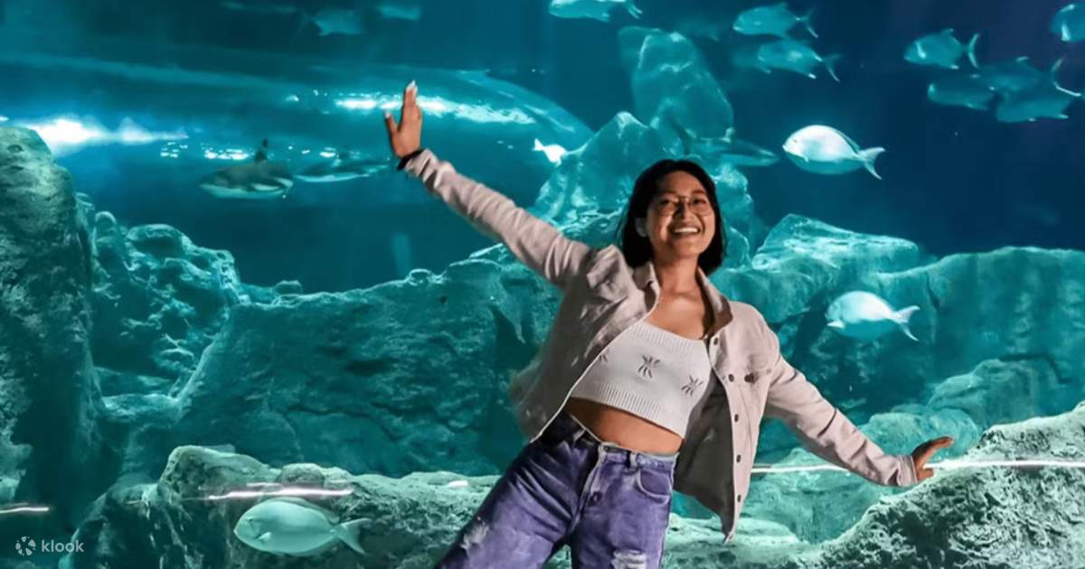 Michin Aquarium Guadalajara Ticket - Klook