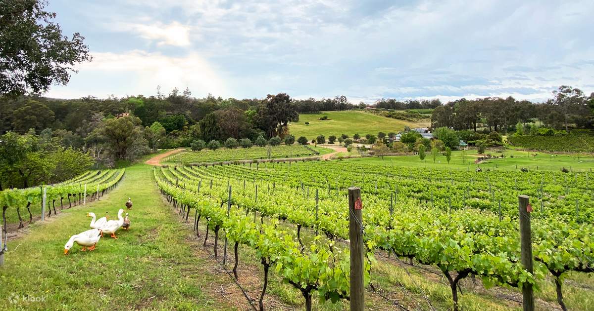 Private Bickley Valley Wine Tour - Klook Malaysia