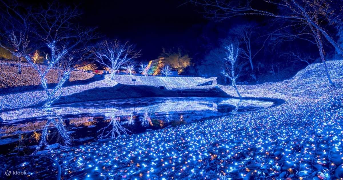 2023 Kobe 5 Million Bulbs Illumination One Day Tour with from Osaka ...