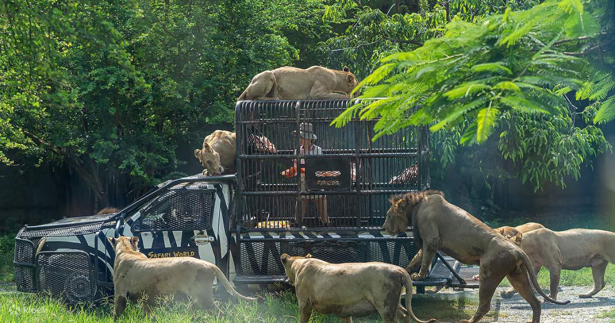 Safari World Tour in Bangkok with Round-Trip Hotel Transfer - Klook