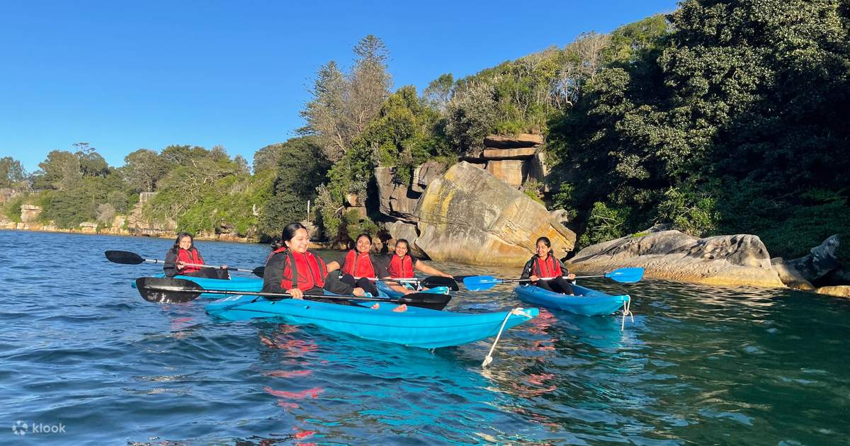 Manly Cove Kayaking Tour - Klook Australia