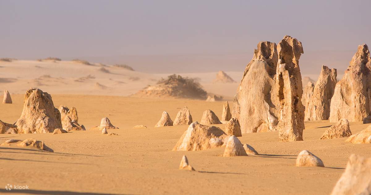 Le désert des Pinnacles, New Norcia et les fleurs sauvages - Klook France